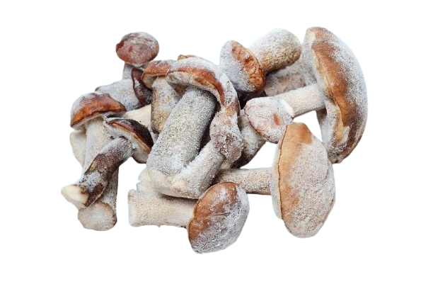 Produse congelate – transylvanianfinestfood.ro